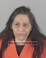 Recent Booking / Mugshot for Shannon Rose Nance in Mille Lacs County ...