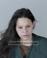 Recent Booking / Mugshot for Andrea Shane Bushey in Mille Lacs County ...