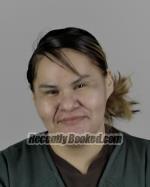 Recent Booking / Mugshot for NATASHA SONJA GARBOW in Mille Lacs County ...