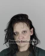 Recent Booking / Mugshot for GINA MARIE PERKINS in Mille Lacs County ...