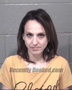 Recent Booking / Mugshot for MISTY DENISE TYSON in Stanly County, North ...