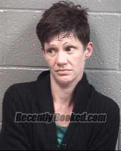 Recent Booking / Mugshot for JAMIE NICOLE MARTIN in Stanly County ...