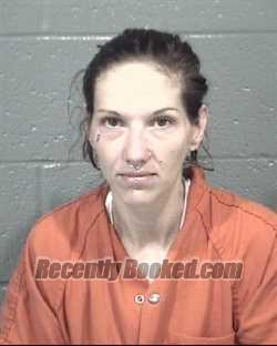 Recent Booking / Mugshot for DEBRA JEAN HARTSELL in Stanly County ...