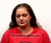 Recent Booking / Mugshot for Pamela Allene Luna in Stokes County, North ...