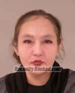 Recent Booking / Mugshot for Debbie Jane Papish in Scott County, Minnesota