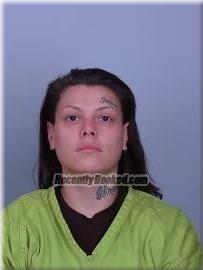 Recent Booking / Mugshot for Kellie Nelson in Sherburne County, Minnesota