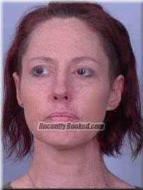 Recent Booking / Mugshot for Amanda Novotny in Sherburne County, Minnesota