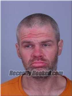 Recent Booking / Mugshot for David Heim in Sherburne County, Minnesota