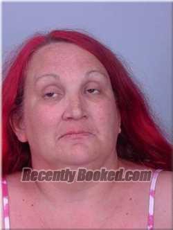 Recent Booking / Mugshot for Rebecca Pettit in Sherburne County, Minnesota