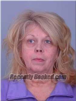 Recent Booking / Mugshot for Jennifer Hartmann in Sherburne County ...