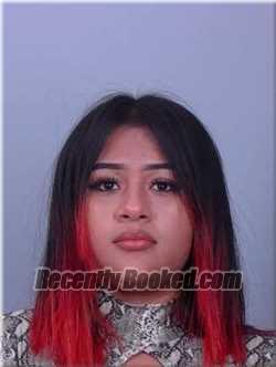 Recent Booking / Mugshot for Jennifer Barrera-Henriquez in Sherburne ...