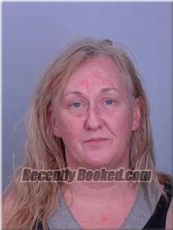 Recent Booking / Mugshot for Melissa Patterson in Sherburne County ...