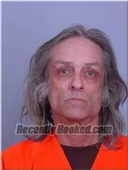 Recent Booking / Mugshot for Dana Brown in Sherburne County, Minnesota