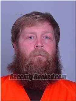 Recent Booking / Mugshot for David Johnson in Sherburne County, Minnesota