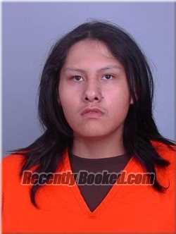 Recent Booking / Mugshot for Kenneth Lyons in Sherburne County, Minnesota