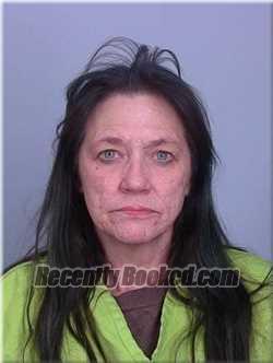 Lisa Cavallo Arrest Record & Booking Info – Sherburne County, Minnesota ...