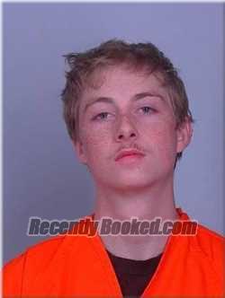Recent Booking / Mugshot for Dominic Erickson in Sherburne County ...