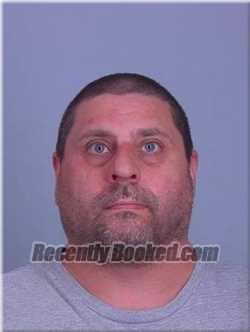 Recent Booking / Mugshot for Michael Anderson in Sherburne County ...
