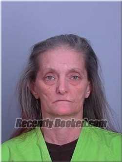 Michelle Eisenschenk Arrest Record & Booking Info – Sherburne County ...