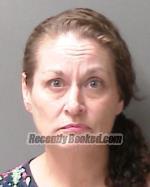 Recent Booking / Mugshot for Jennifer Ann Peikert in Sibley County ...