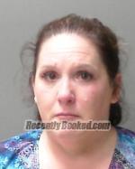 Michelle Rose Trost Arrest Record & Booking Info – Sibley County ...