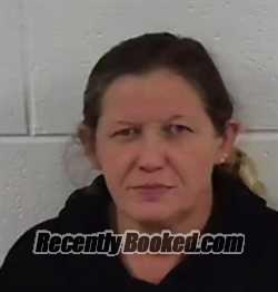 Recent Booking / Mugshot for AMY LYNETTE EDWARDS in Surry County, North ...