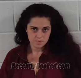 Recent Booking / Mugshot for AMBER NICOLE BARR in Surry County, North ...
