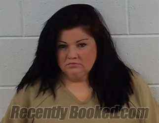 Recent Booking / Mugshot for SADIE RENA BISHOP in Surry County, North ...