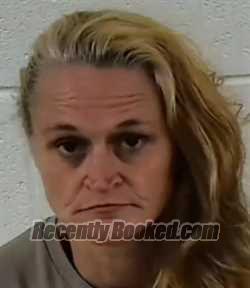 Recent Booking / Mugshot for STEPHANIE DAWN DAVIS in Surry County ...