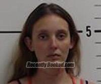 Recent Booking / Mugshot for SHASTA NICOLE HOLDER in Surry County ...