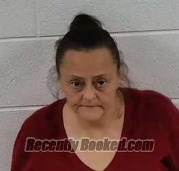 Recent Booking / Mugshot for LISA MICHELLE MATTHEWS in Surry County ...