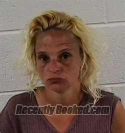 Recent Booking / Mugshot for BRANDI MARIE TALBERT in Surry County ...