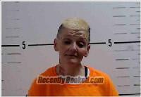 Recent Booking / Mugshot for APRIL LEANN TAYLOR in Surry County, North ...