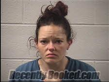 Recent Booking / Mugshot for Alicia Renee McLendon in Transylvania ...