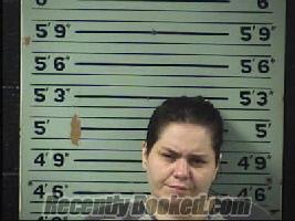 Recent Booking / Mugshot for Erica Marie Custer in Transylvania County ...