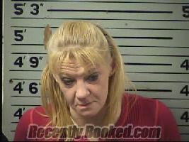 Recent Booking / Mugshot for Andrea Darlene Gaddy in Transylvania ...