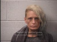 Recent Booking / Mugshot for Jennifer Robin Gilmore in Transylvania ...