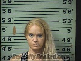 Recent Booking / Mugshot for Crystal Gale Hollins in Transylvania ...
