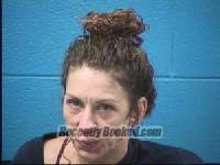 Recent Booking / Mugshot for Crystal Jasmine McCall in Transylvania ...