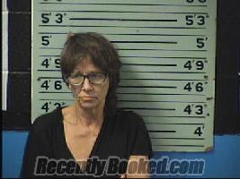 Recent Booking / Mugshot for Joni Barnes Nicholson in Transylvania ...