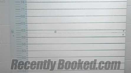 Recent Booking / Mugshot for ANGELA JOSEPHINE FERRARO in DeSoto County ...