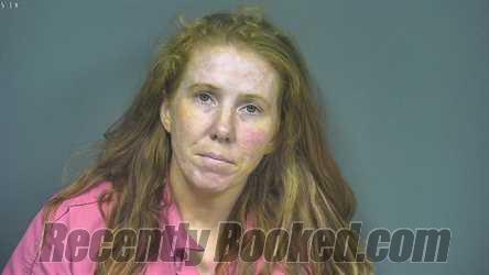 Recent Booking / Mugshot for HEATHER KAYE TROTTER in DeSoto County ...