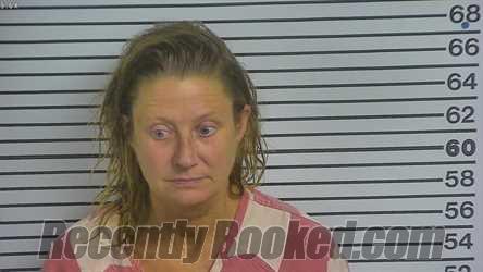 Recent Booking / Mugshot for Ashly Miller Hudson in Forrest County ...