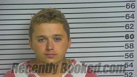 Recent Booking / Mugshot for BRANDON SCOTT WHITEHURST in Forrest County ...