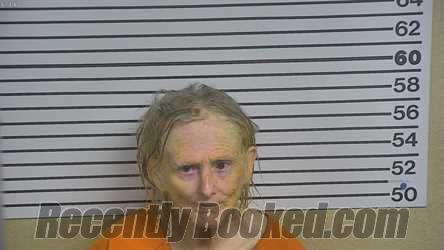 Recent Booking / Mugshot for Harriet Mooney Howe in Forrest County ...