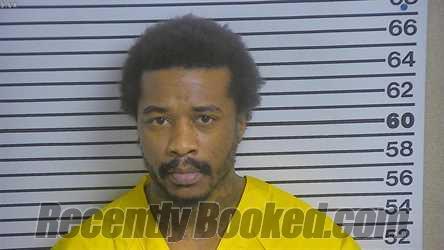 Recent Booking / Mugshot for SHANNON ANDERSON in Forrest County ...