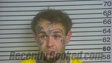 Recent Booking / Mugshot for Waylon Louis Daley in Forrest County ...