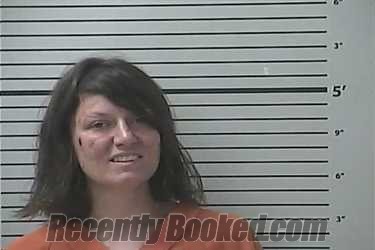 Recent Booking / Mugshot for LINDSEY MICHELLE GOETZ in Hancock County ...