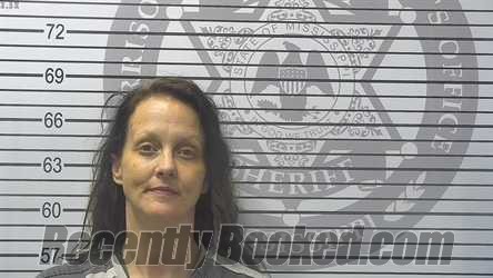 Recent Booking / Mugshot for DANIELLE ELIZABETH MURPHY in Harrison ...