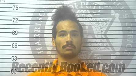 Recent Booking / Mugshot for JACKSON GREGORY GARRETT in Harrison County ...